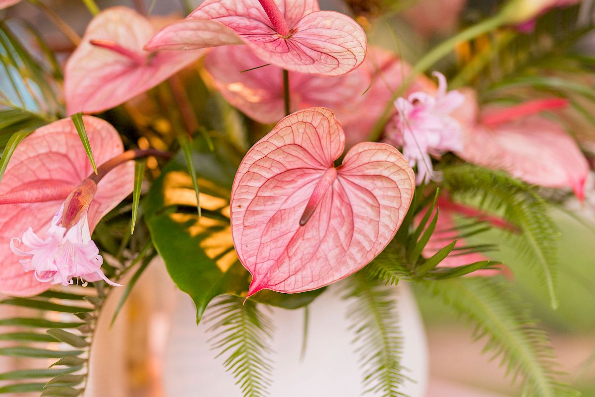 Wedding Venue Santa Rosa - Flamingo Resort & Spa - Outdoor Wedding ...